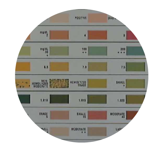 Microscopy Case Simulators - LabCE
